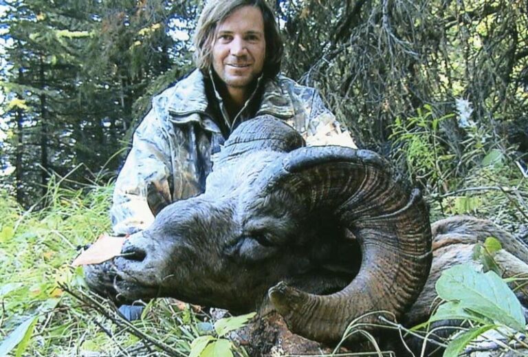 Wanting to Hunt a Big Horn Sheep? 2016 could be the best time to do it ...