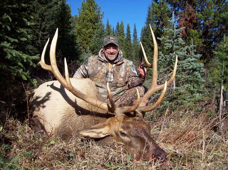 sucessful-elk-hunt-BC – Total Outdoor Adventures